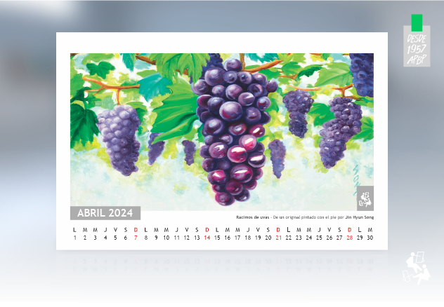 Calendario Anillado | APBP