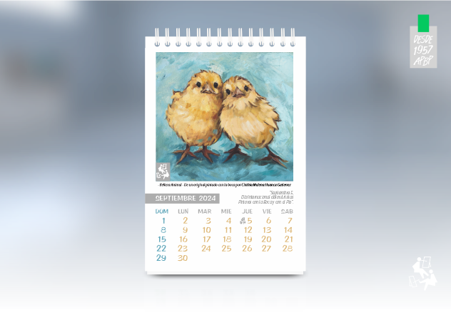 Calendario Institucional | APBP